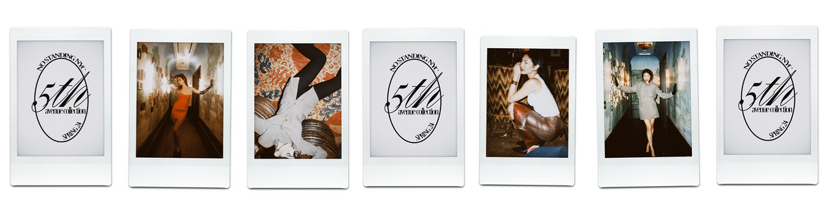 The Fifth Ave Collection – No Standing NYC